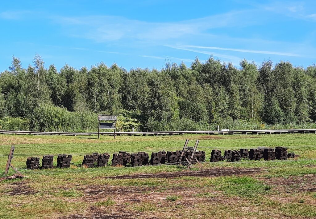 Het Veenpark in Barger-Compascuum – Marjolein schrijft over